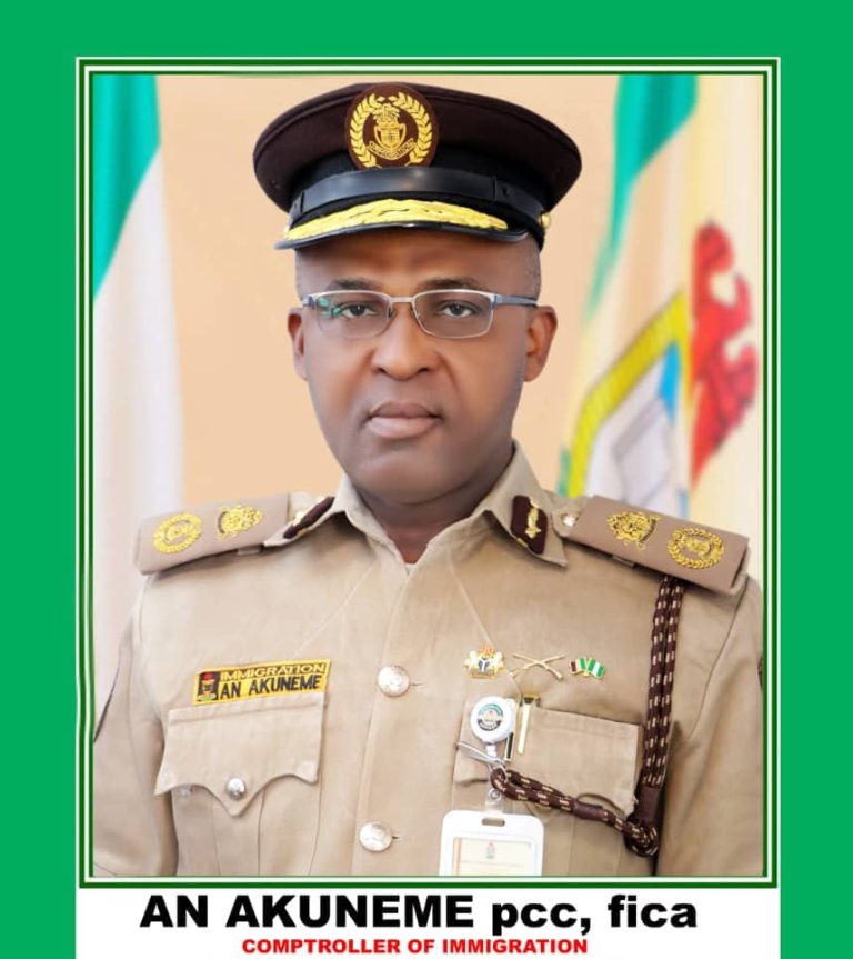 NIS CG appoints Akuneme commandant of Kano training school – Choice ...
